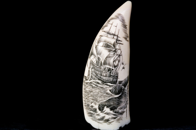 scrimshaw | Dujardin Design